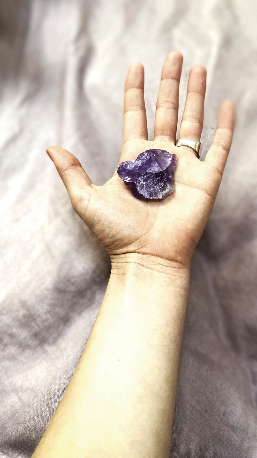 Our Story – North Muse